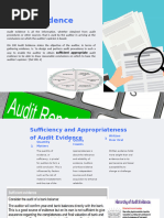 Nte | PDF | Financial Audit | Audit