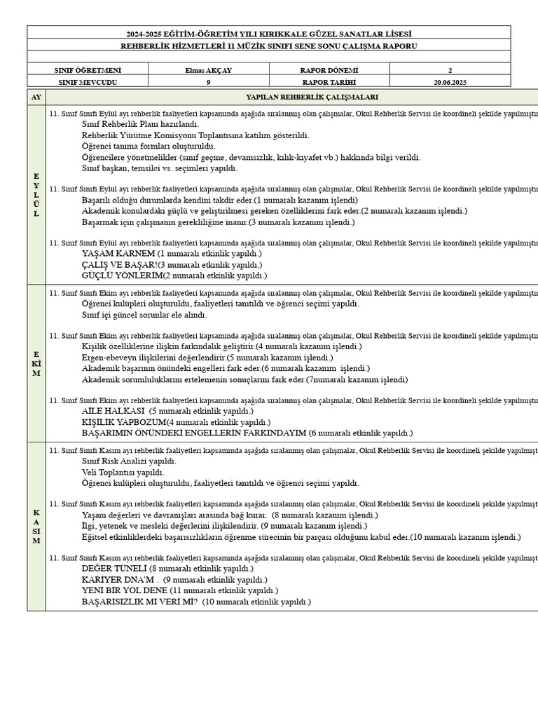2024 2025 Elmas 11 Sinif Sene Sonu Rehberlik Raporu 1749700804 | PDF