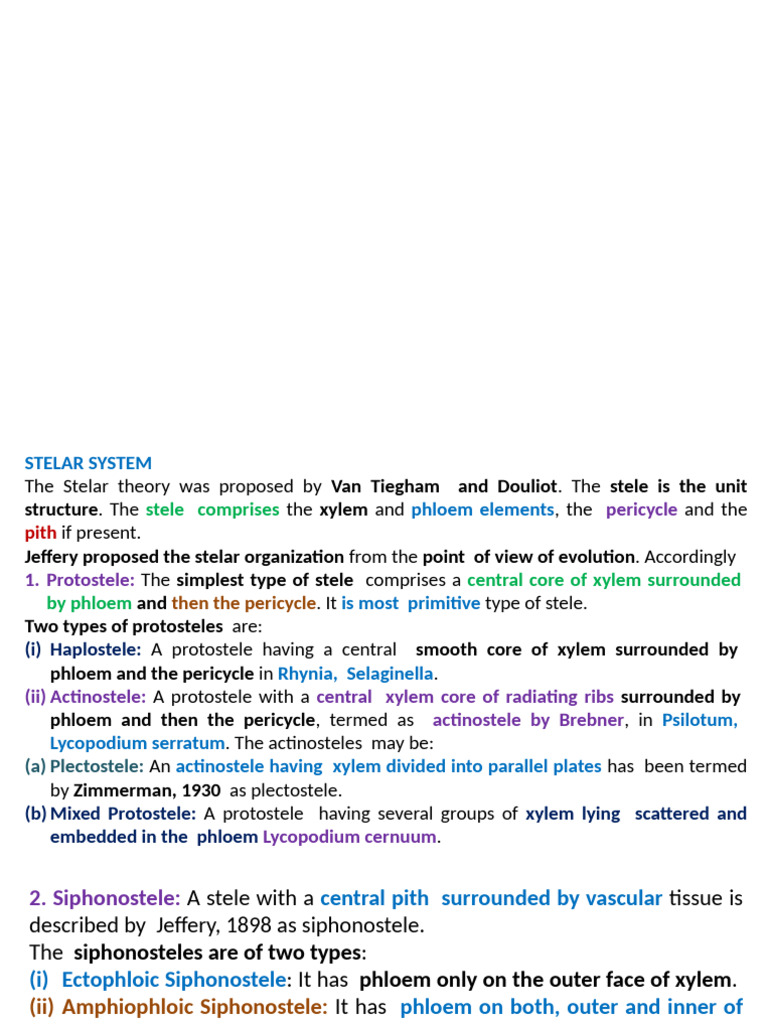 Stelar Systems in Pteridophytes Explained | PDF | Seed | Spore
