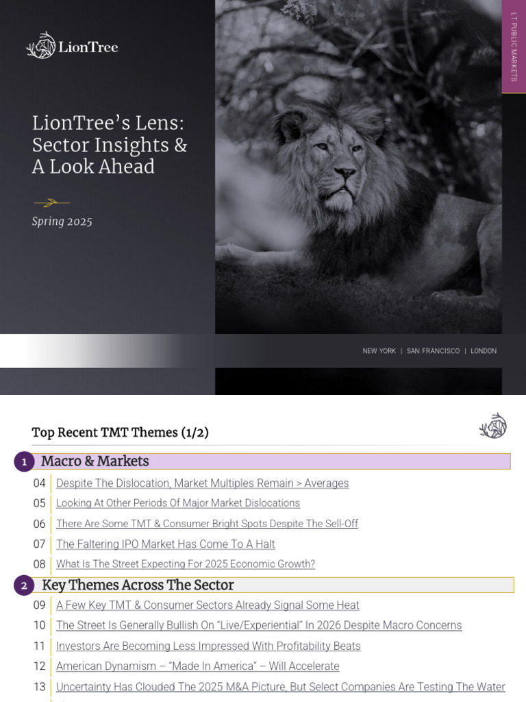 LionTree's Lens - Sector Insights & A Look Ahead, Spring 2025 | PDF | Initial Public Offering ...