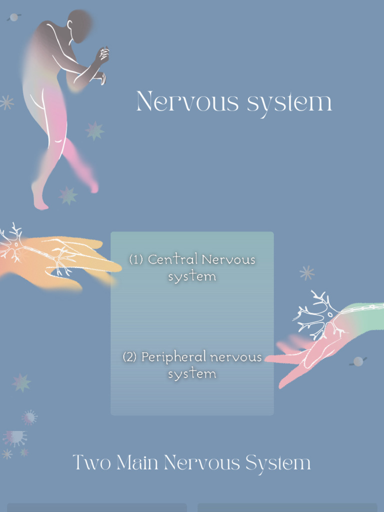 Nervous System | PDF