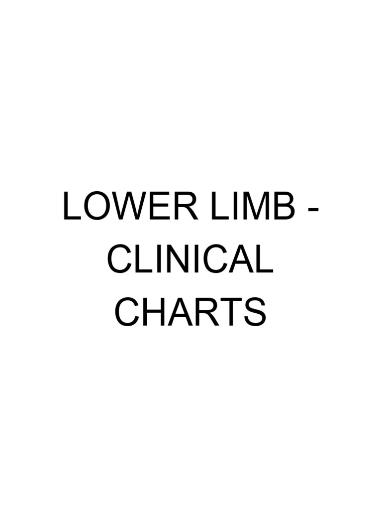Lower Limb - Clinical Charts | PDF | Human Leg | Foot