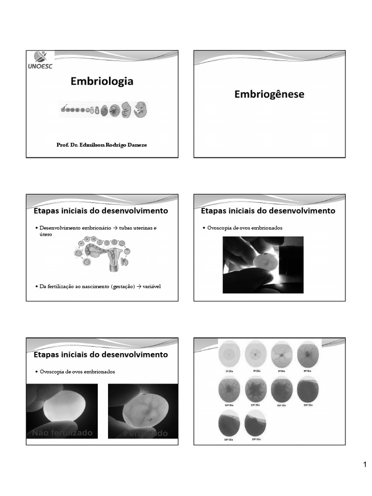 Aula 6 - Embriologia-1 | PDF | Embrião | Ovo