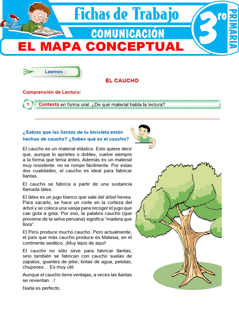 El Mapa Conceptual para Tercer Grado de Primaria | PDF | Caucho natural ...