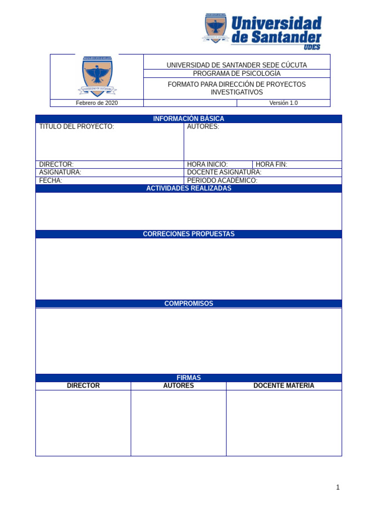 Formato de Asesoria Proyectos de Investigacion | PDF