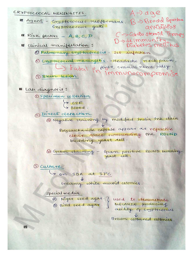 Cryptococcus Merged | PDF