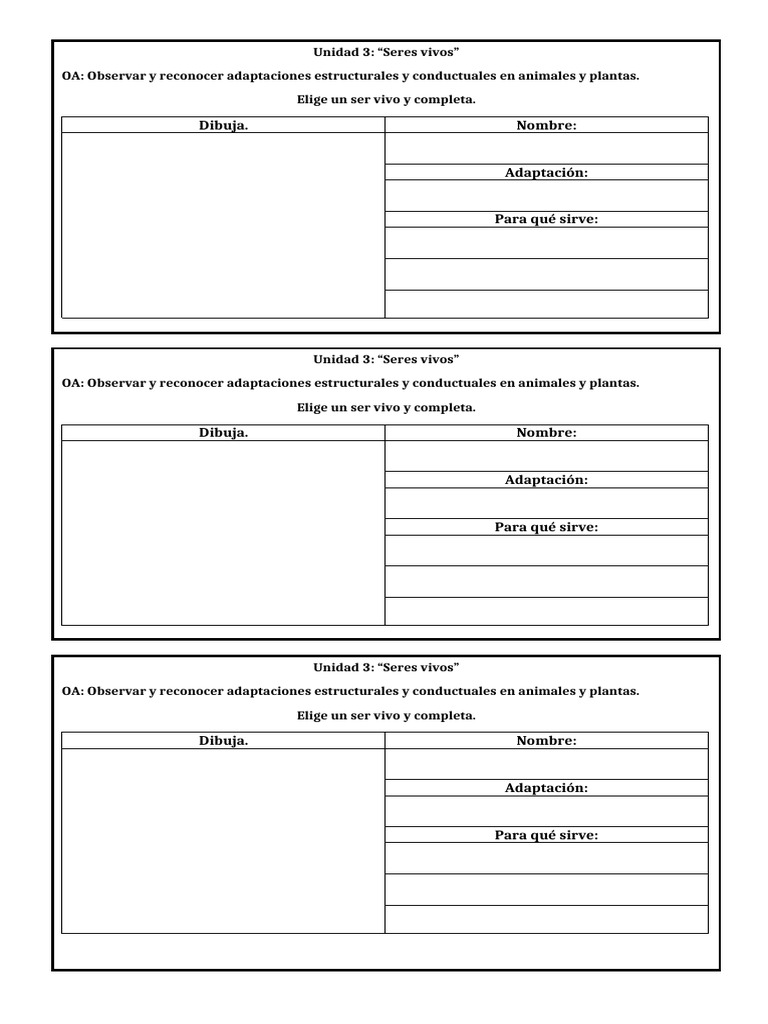 Clase 5 Adaptaciones | PDF