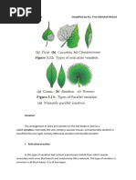 Leaf Dichotomous Key | PDF | Leaf | Branches Of Botany