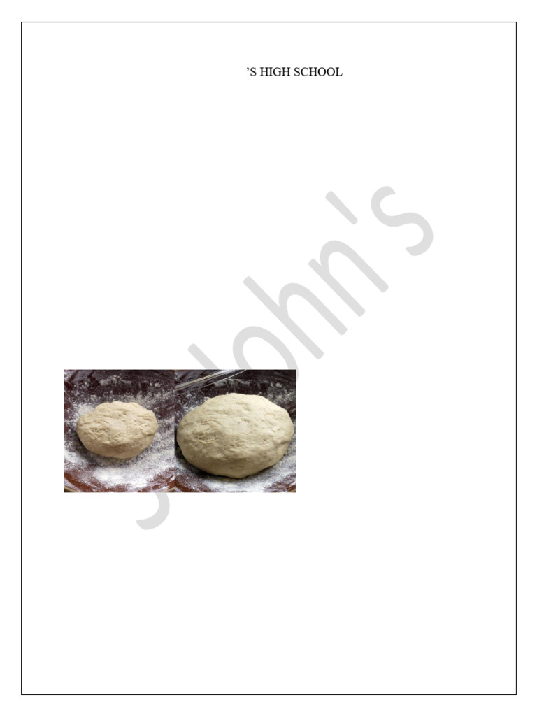 Class 8 Microorganisms Question Bank | PDF | Microorganism | Bacteria