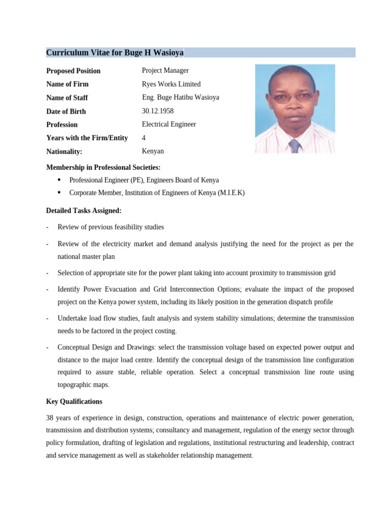 Electrical Engineer Profile and Experience | PDF | Electric Power ...