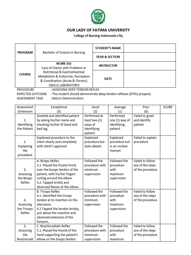Deep Tendon Reflex Assessment Guide | PDF | Anatomical Terms Of Motion ...