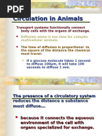Grade 6 Circulatory System Worksheet | PDF