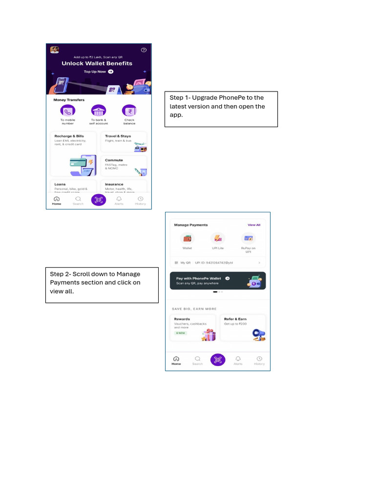 Claiming PhonePe Gift Card Balance | PDF