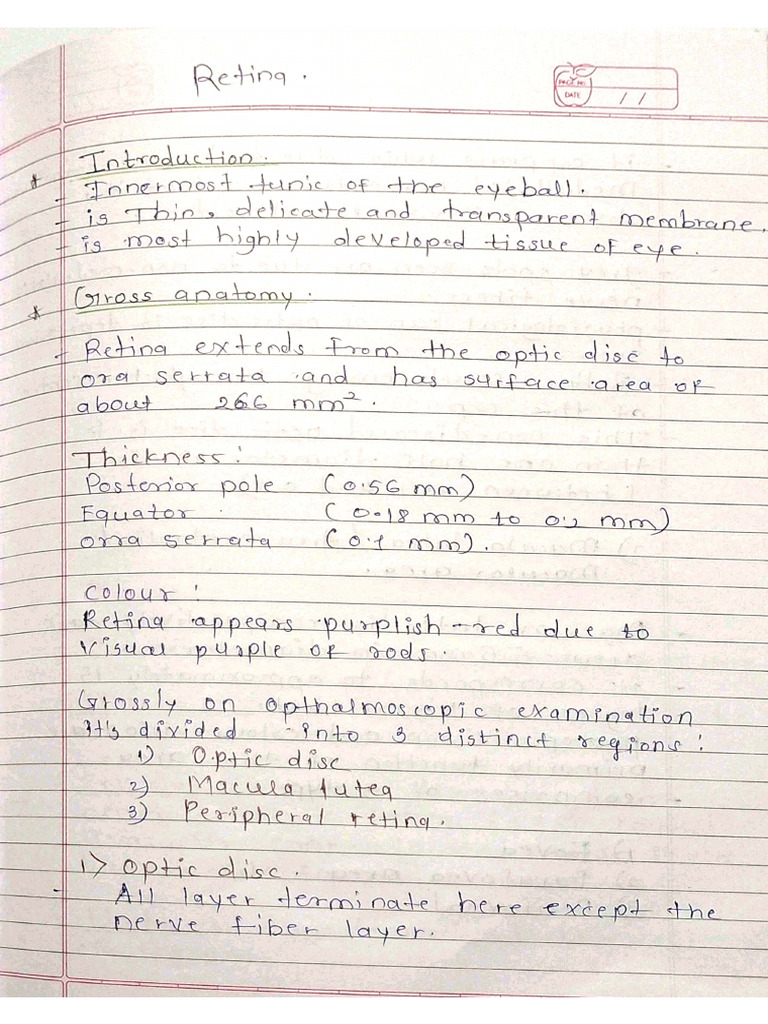Anatomy 2nd Internal | PDF