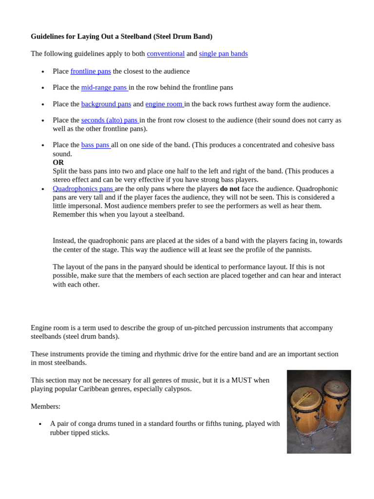 Engine Room Layout for Steelbands | PDF | Drum | Music Technology