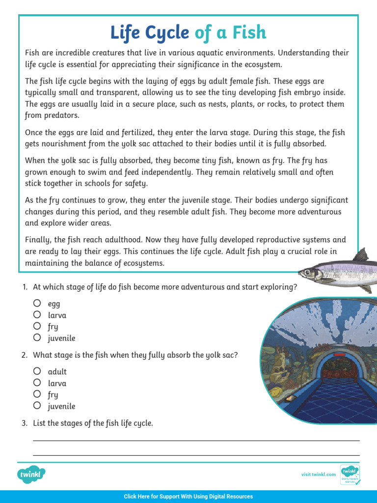 Fish Life Cycle for Class 5 Students | PDF