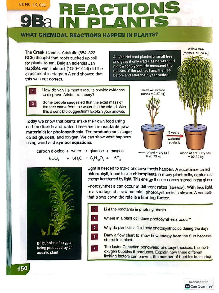Plant Growth | PDF