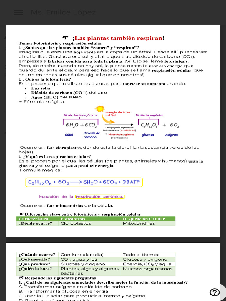 Biologia 7. Guia Resumen y Taller Fotosintesis y Respiracion Celular ...
