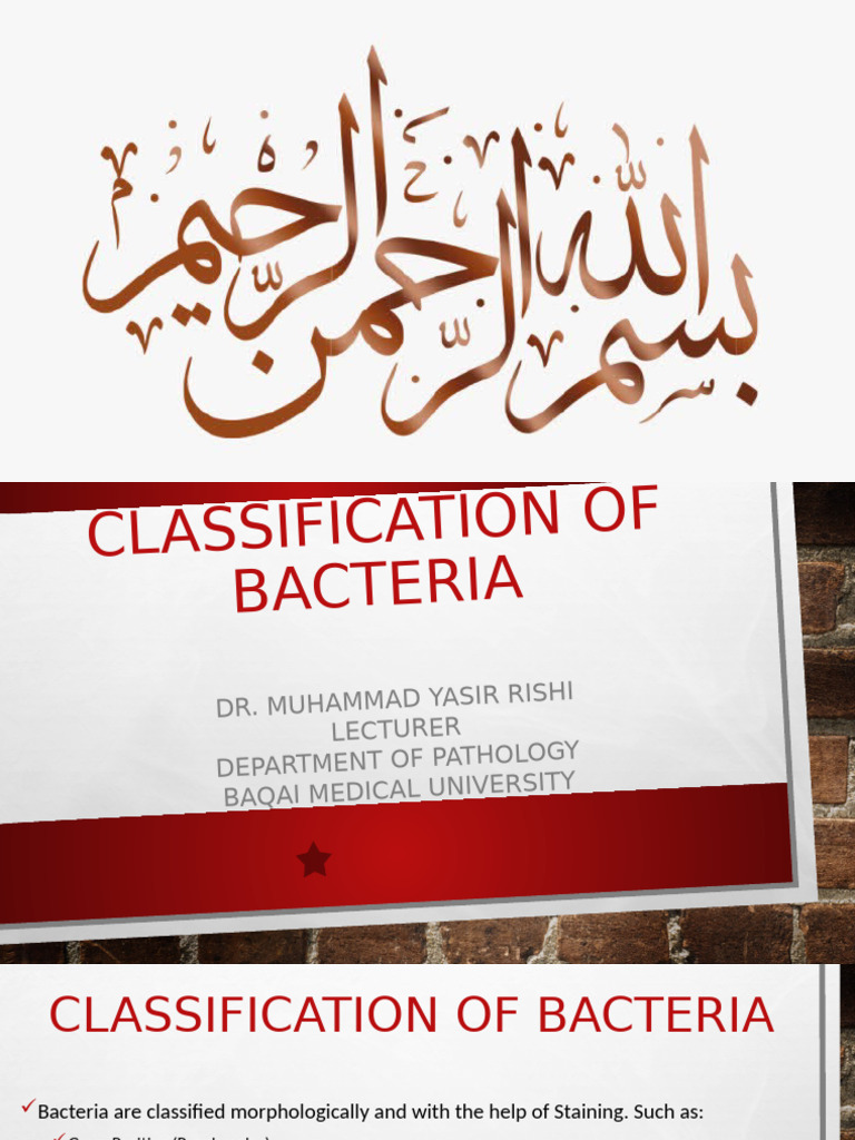 Chapter No. 5 & 6 Classification of Bacteria & Normal Flora | PDF ...