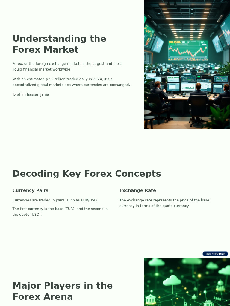 Understanding The Forex Market | PDF | Foreign Exchange Market | Economies