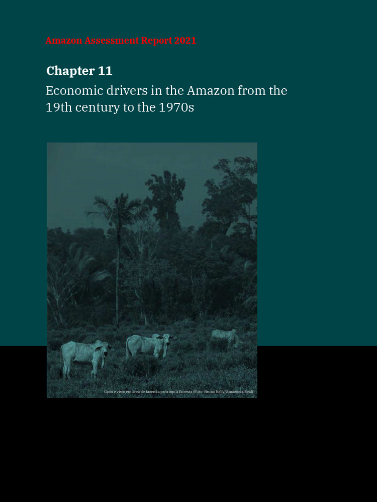 Economic Drivers in The Amazon From The | PDF
