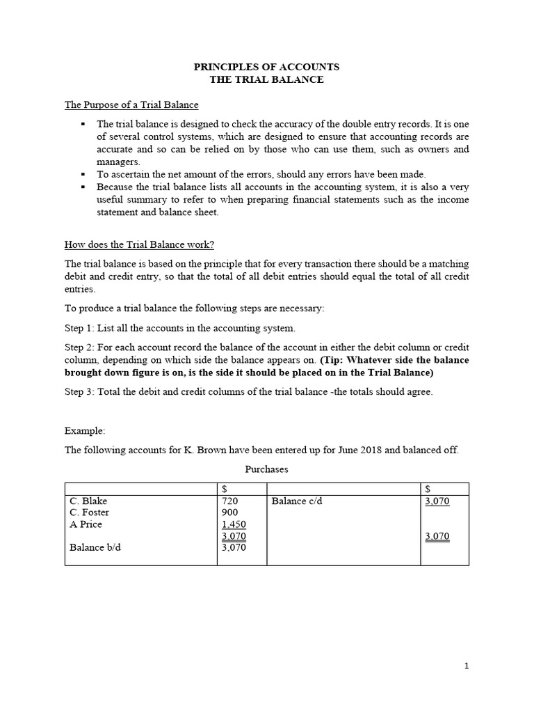 Understanding Trial Balance Basics | PDF | Debits And Credits ...