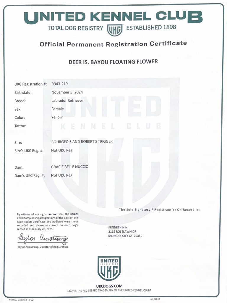 United Kennel Club Part 1 | PDF