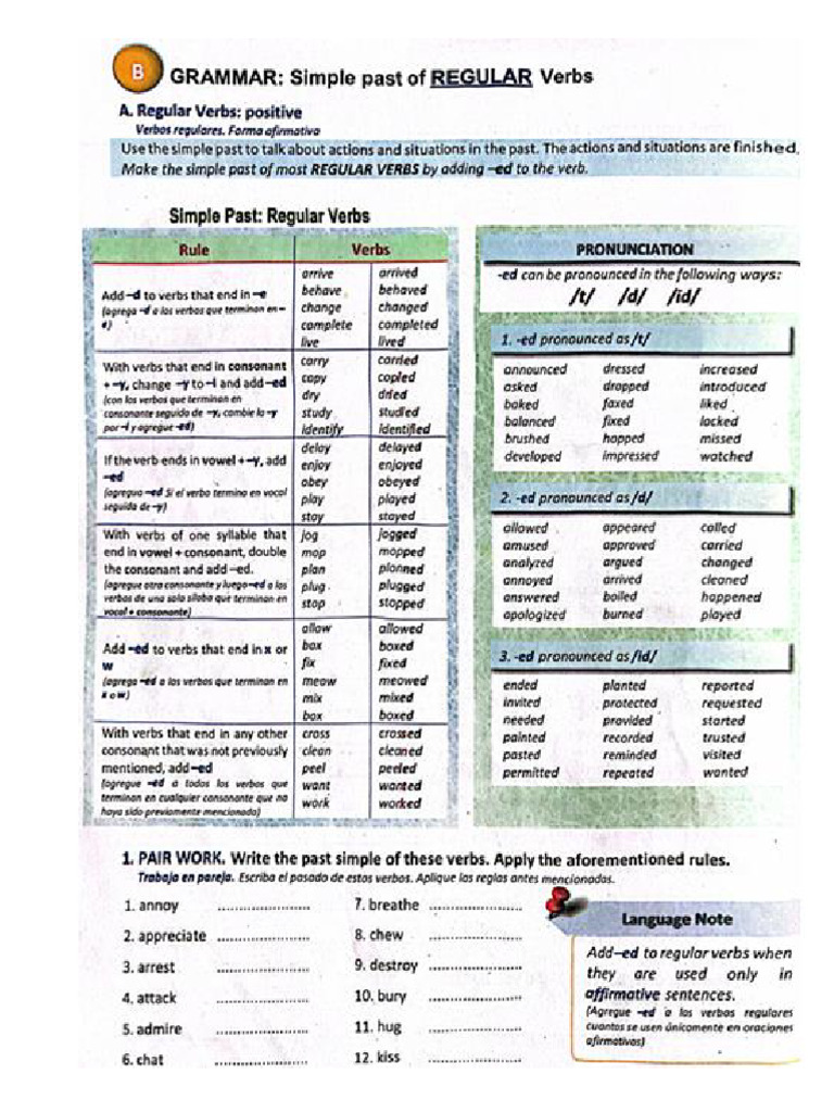 Regular and Irregular Verbs 9TH Grade I-P 2025 | PDF