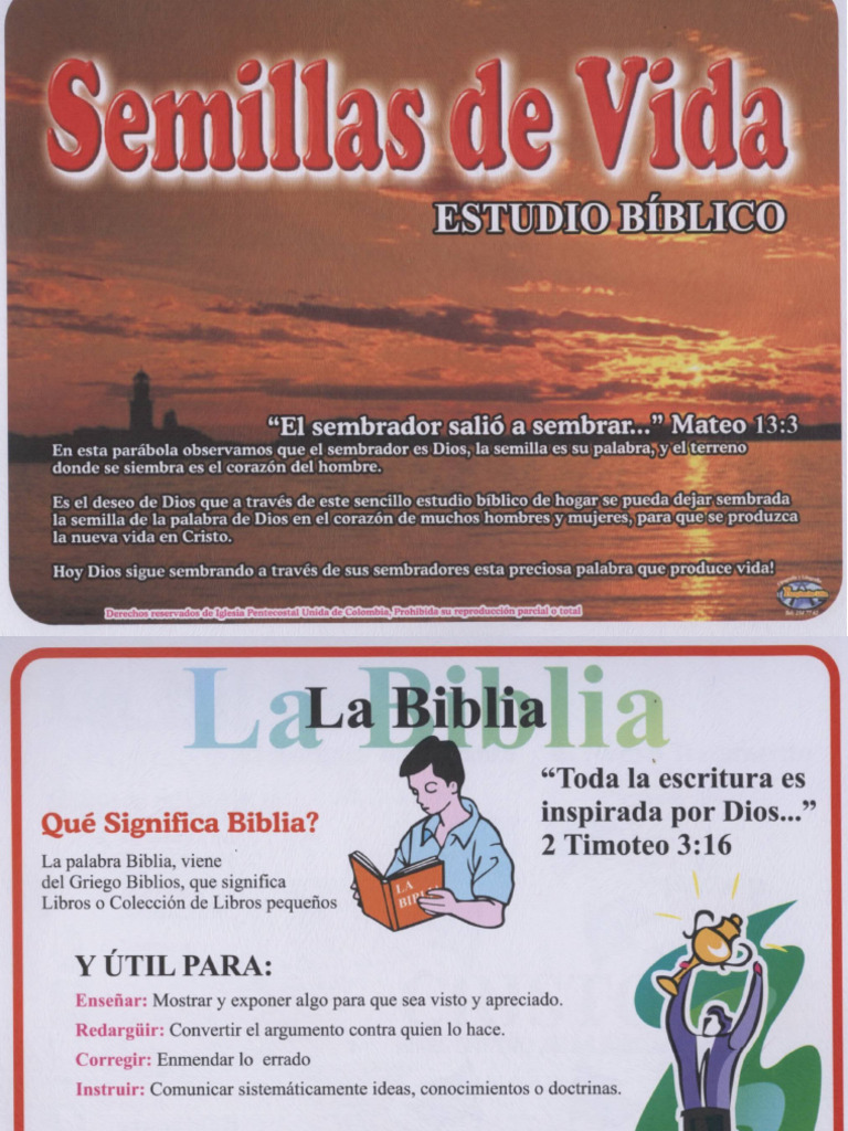 Refam en Diapositivas | PDF