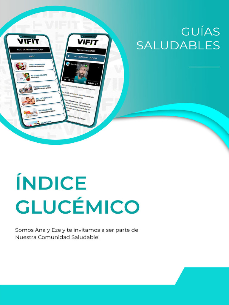 Guia Indice Glucemico Vifit 24 | PDF