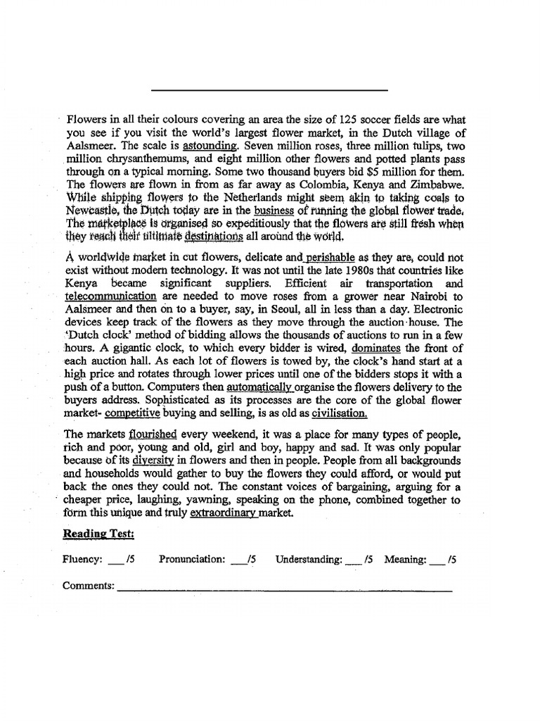 Year 8 Comprehension IV | PDF