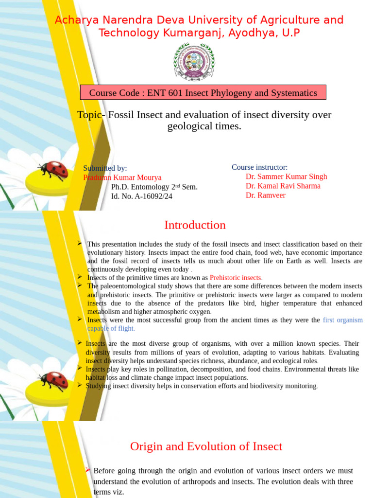 Fossil Insect and Evaluation of Insect Diversity Over | PDF | Insects ...