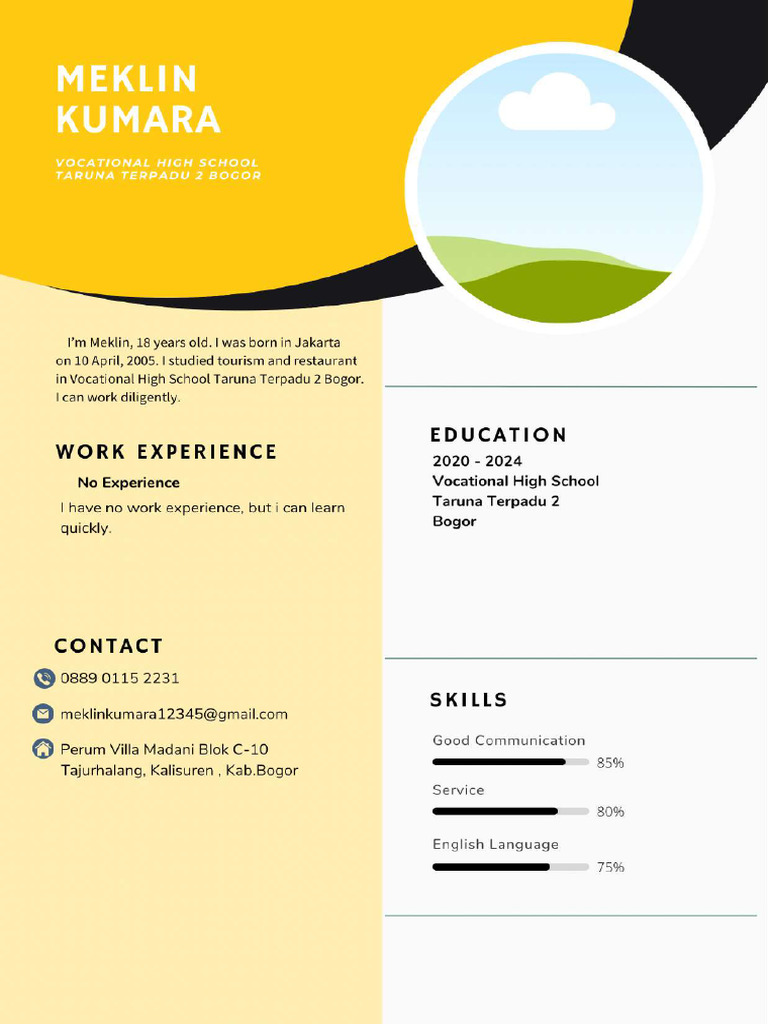 CV Meklin July2023 | PDF