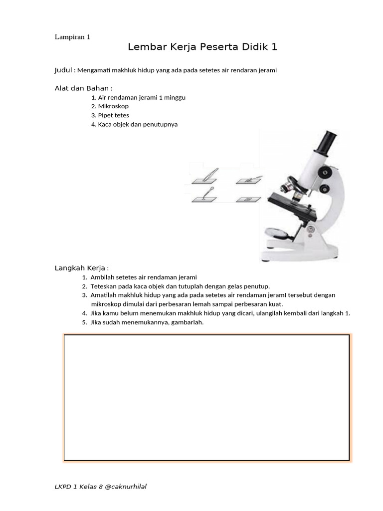 LKPD Mikroskup | PDF