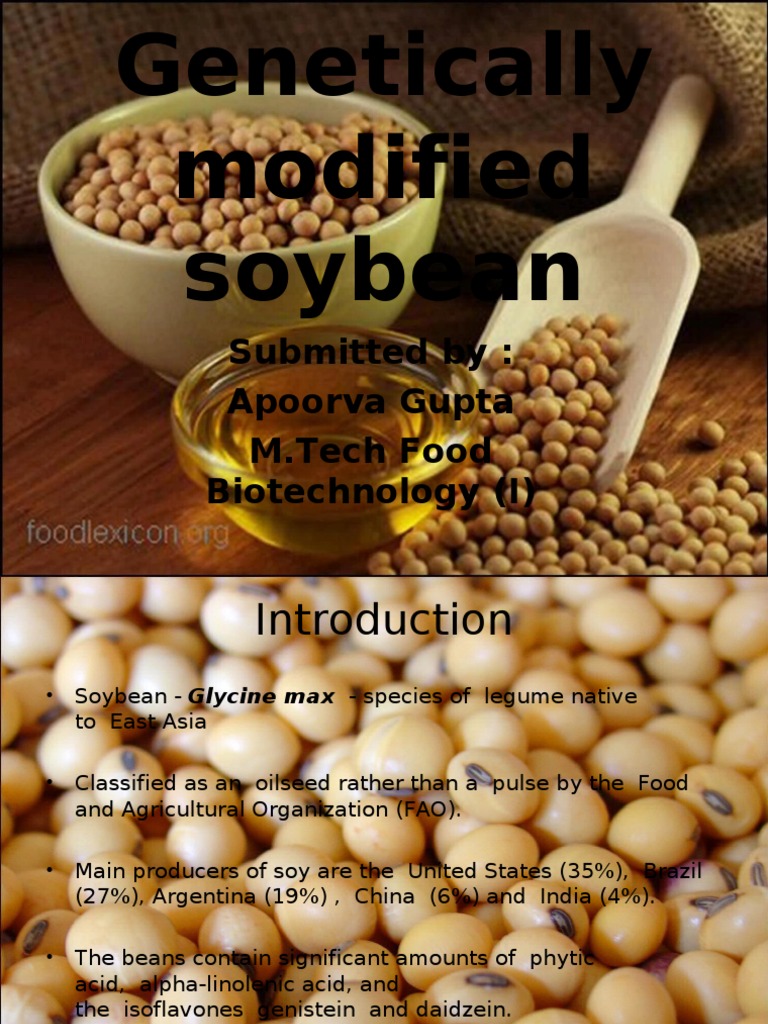 Genetically Modified Soybean-New | PDF | Soybean | Plasmid