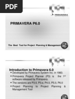 Primavera P6 Tutorial - Step by Step Guide For Beginners (Updated ...