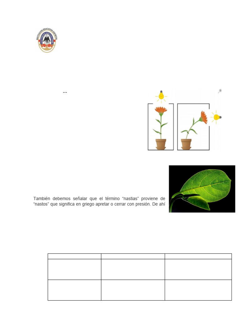 Tropismos y Nastias en Plantas | PDF | Plantas | Biología