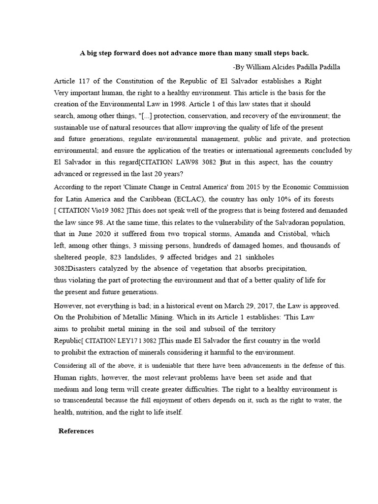 Essay On The Right To The Environment in El Salvador | PDF ...