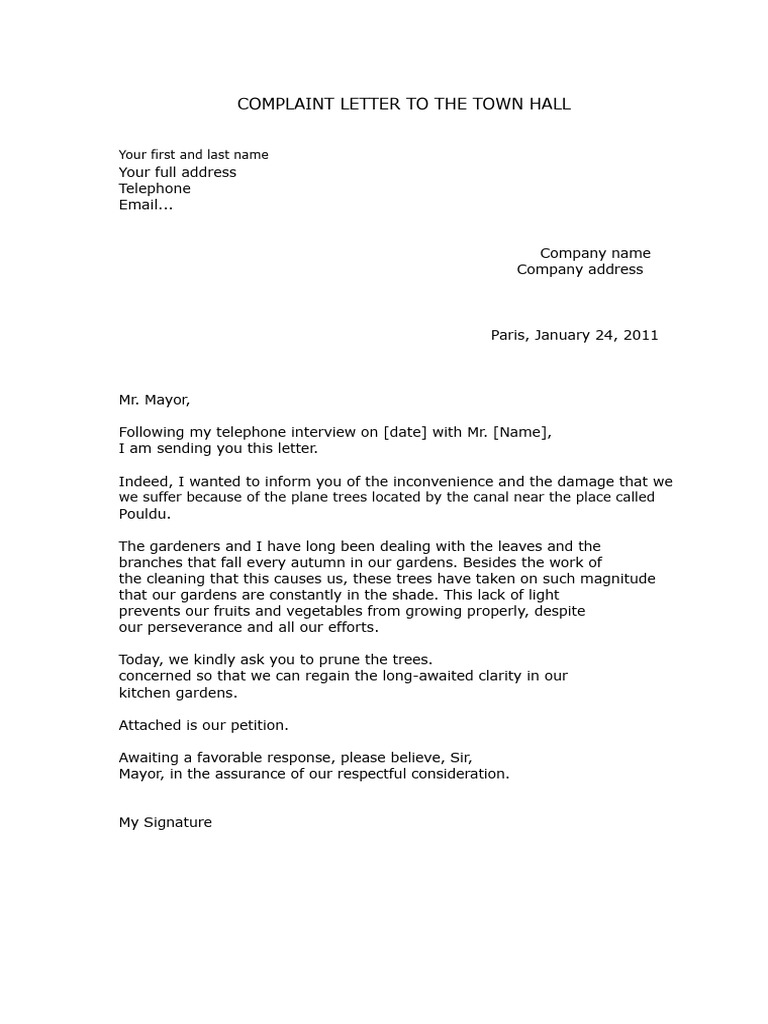 Letter of Complaint To The Town Hall | PDF