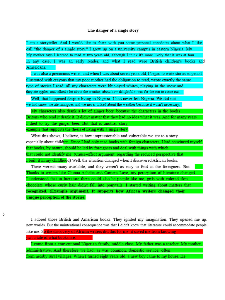 The Danger of a Single Story Explained | PDF