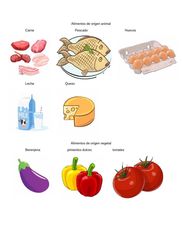 Alimentos de origen animal y sus tipos | PDF