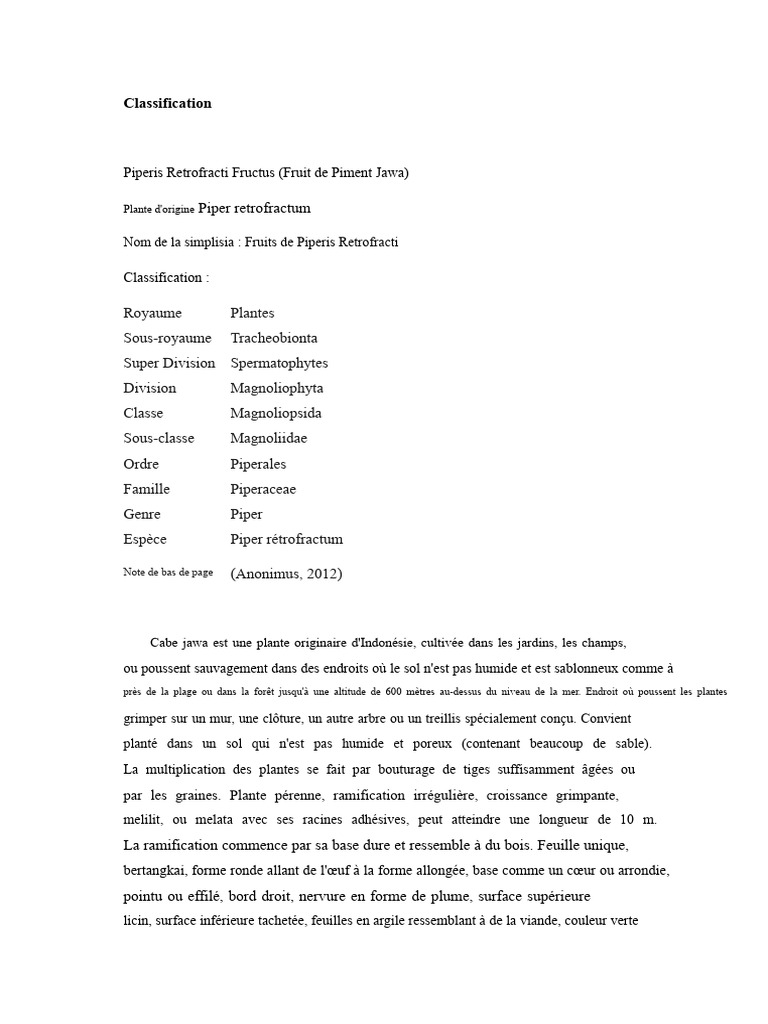 Classification Des Piments de Java | PDF | Plantes | Botanique