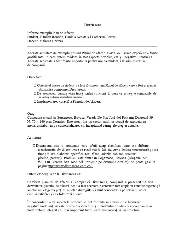 Raport Exemplu Plan de Afaceri | PDF