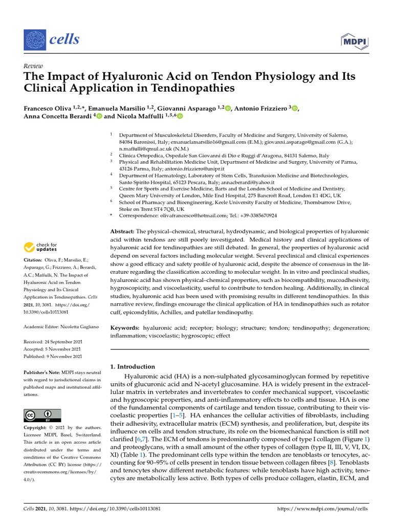 Hyaluronic Acid in Tendon Healing | PDF | Extracellular Matrix | Tendon