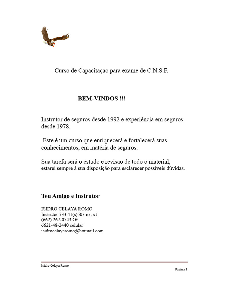 1605658432343_Manual A GNP 2019 CÉDULA A (1) | PDF | Seguro | Empréstimos