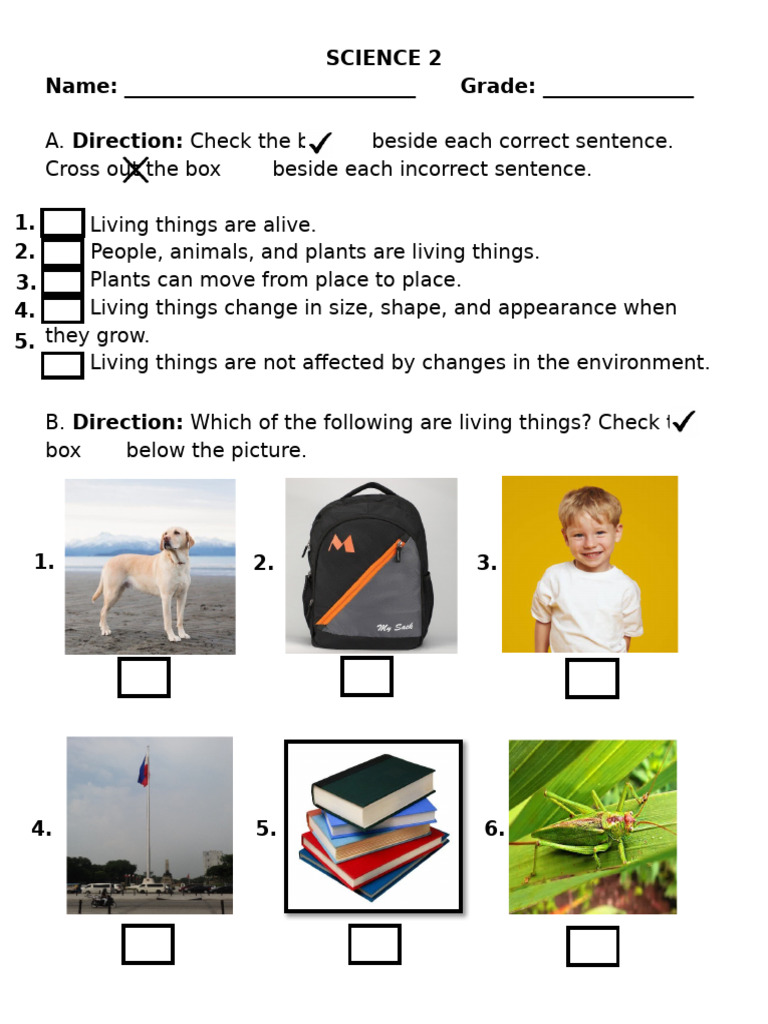 Test - Chapter 1 Lesson 1 (Science 2) | PDF | Life | Chess Theory