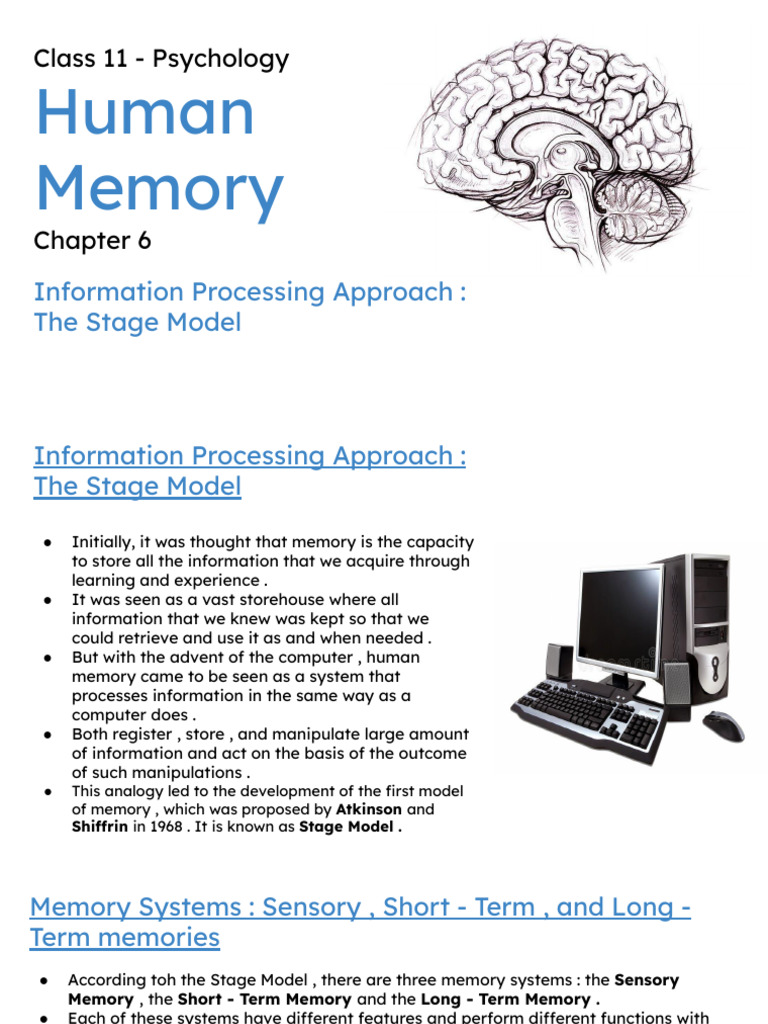 Class 11 Psychology Human Memory Chapter 6 Pdf Memory Perception