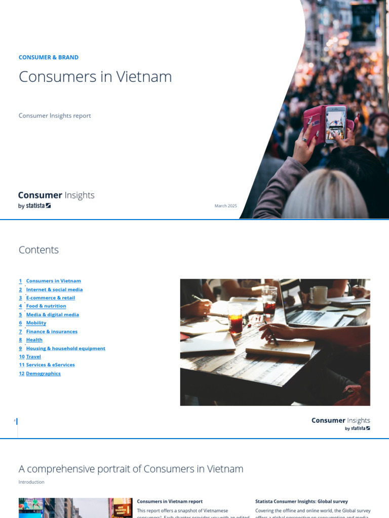 Vietnam Consumer Trends 2025 Insights | PDF | Cost Of Living | Social Media
