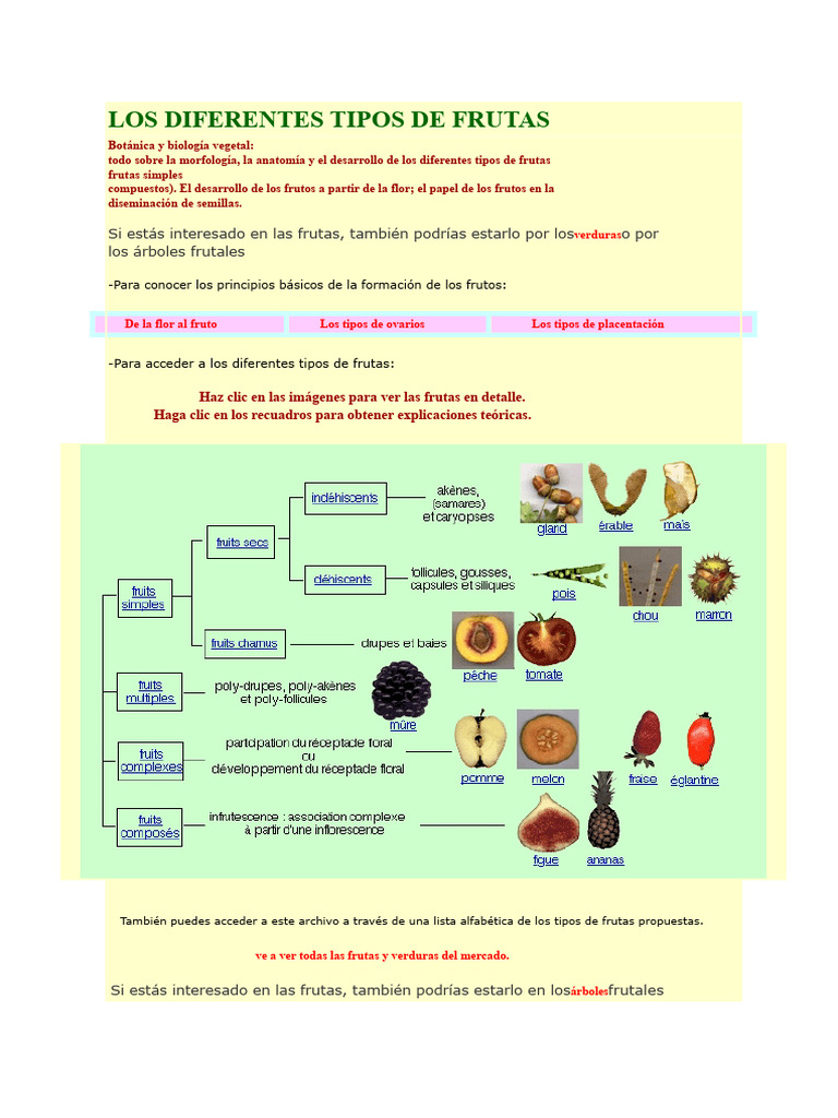 Tipos de Frutas y su Desarrollo | PDF