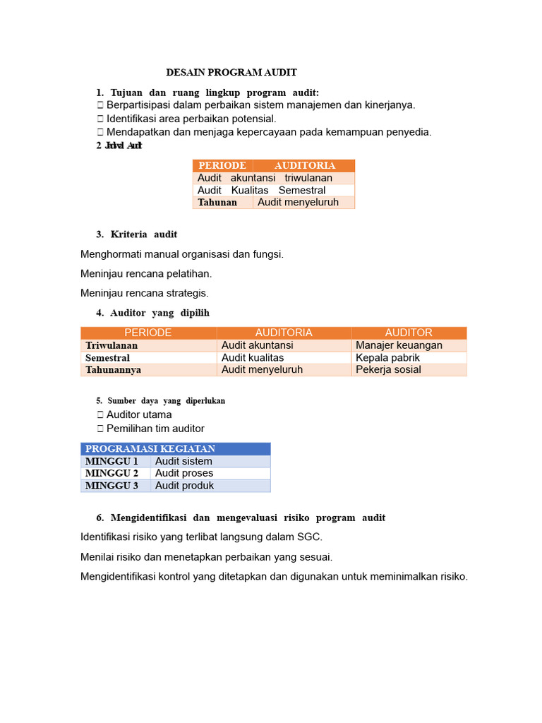 Desain Program Audit | PDF